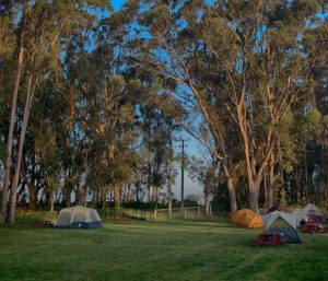 RV Sites & Tent Camping | Costanoa