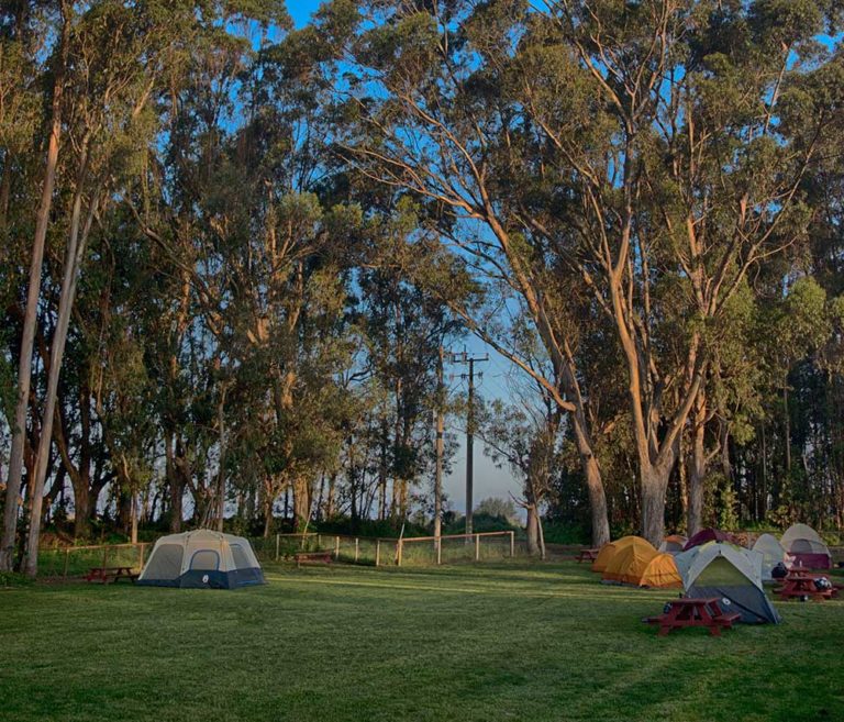 RV Sites & Tent Camping | Costanoa